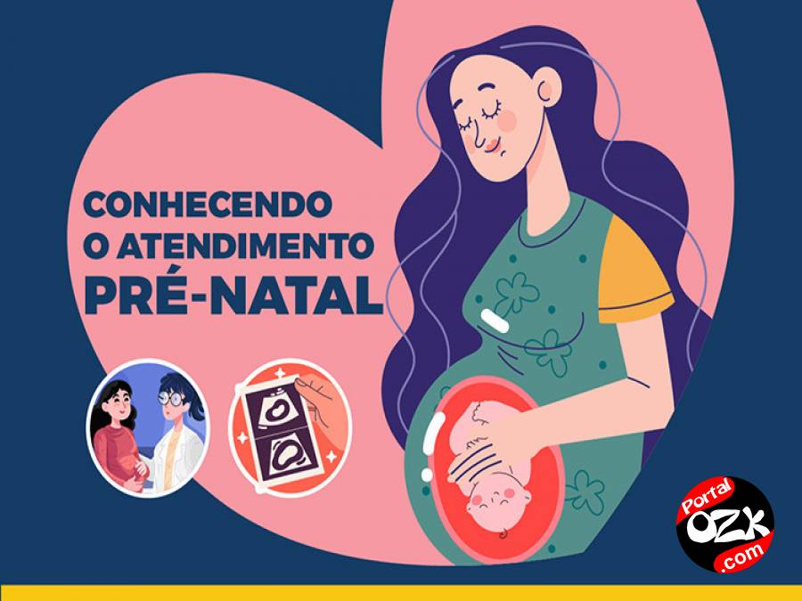 Saúde disponibiliza vários serviços para assistência ao pré-natal ...